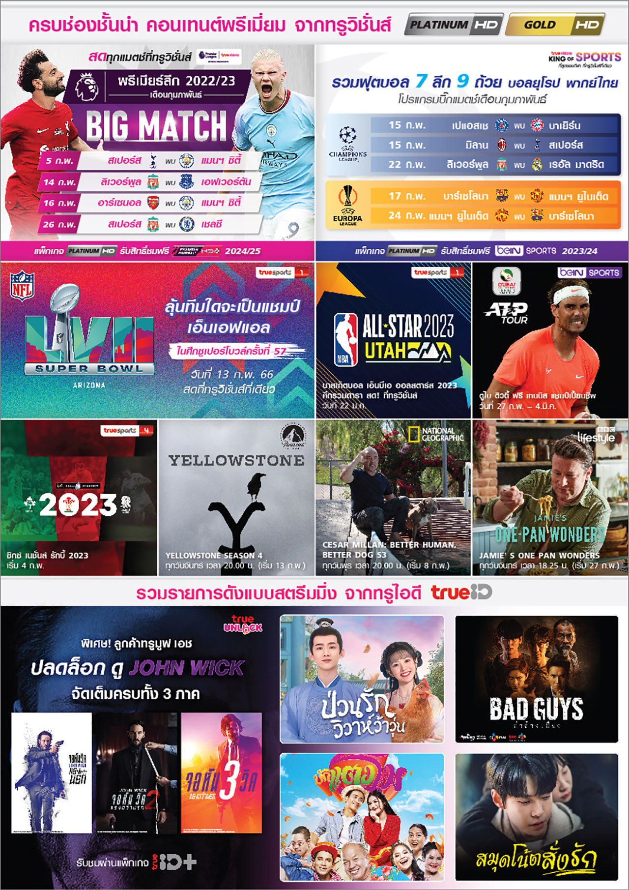 Platinum & Gold Leaflet