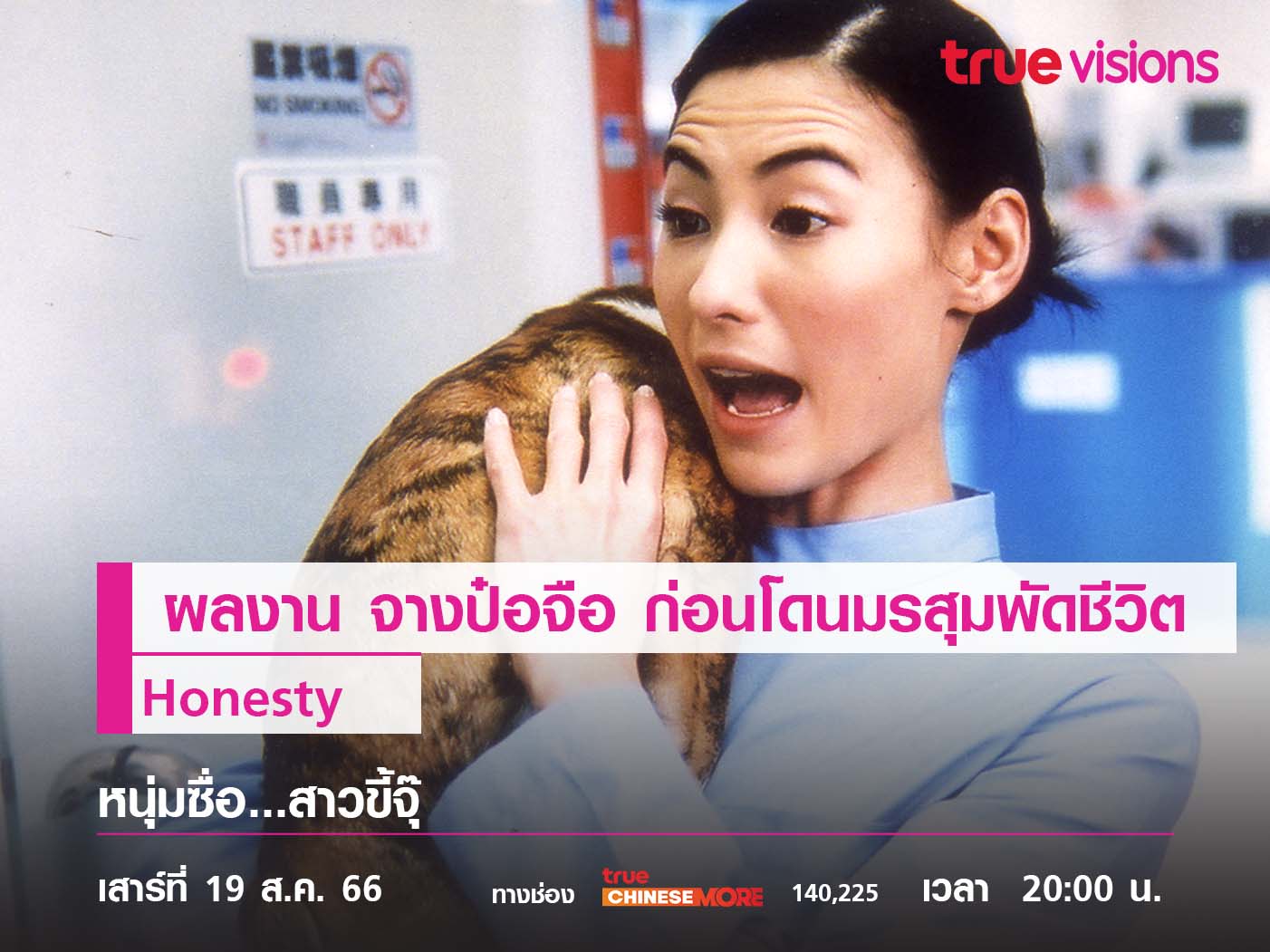 ผลงาน "จางป๋อจือ" ก่อนโดนมรสุมลูกใหญ่พัดชีวิต "Honesty"