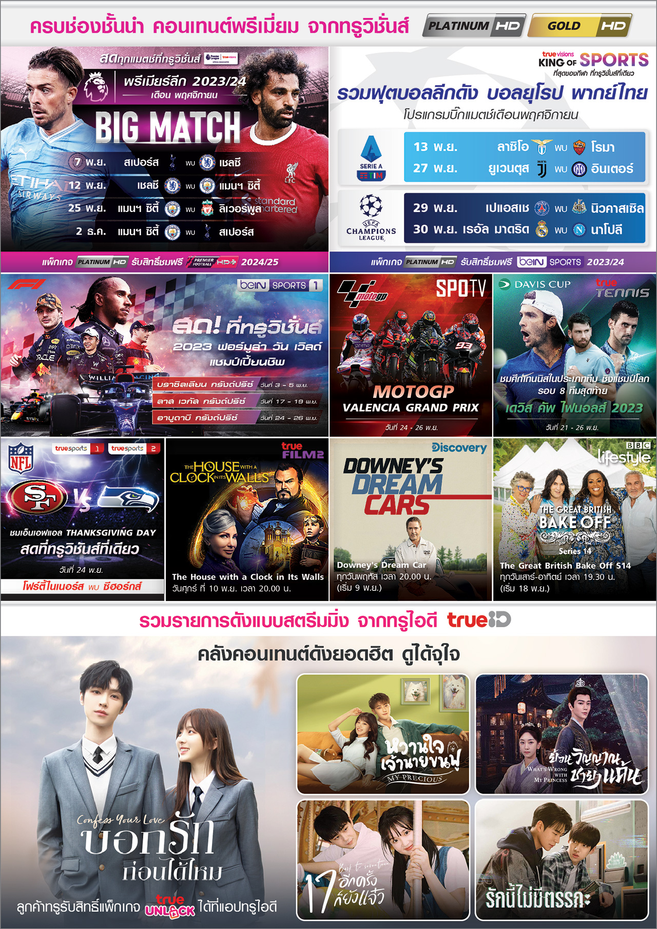 Platinum & Gold Leaflet