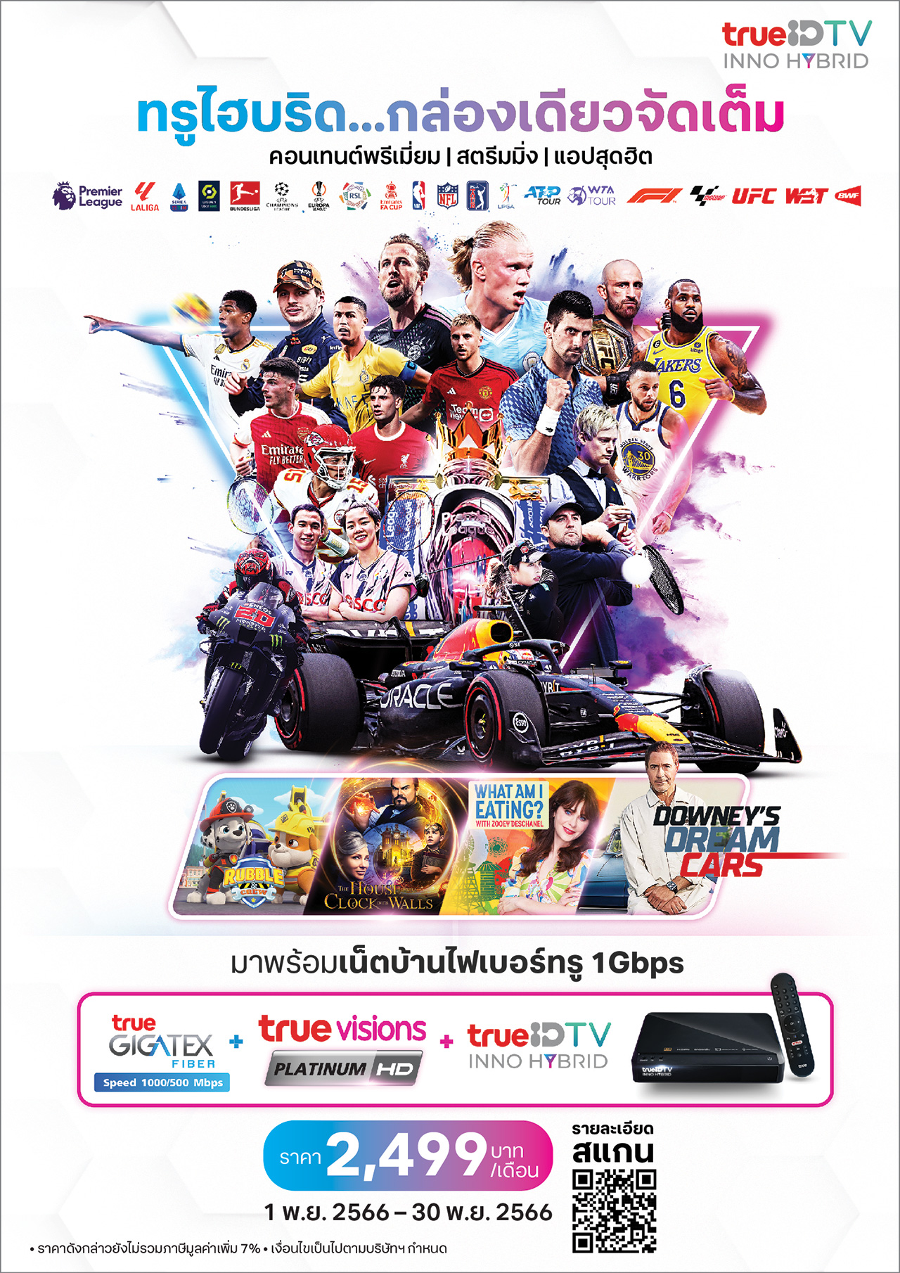 Platinum & Gold Leaflet