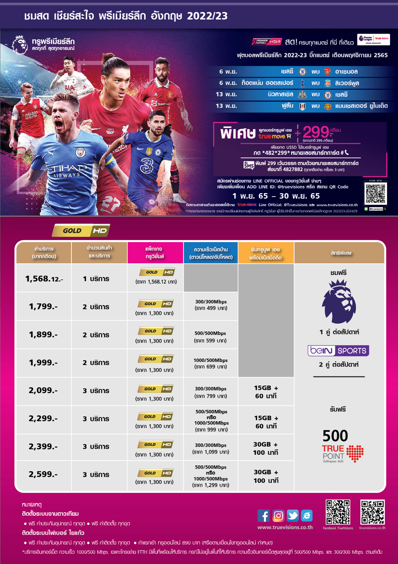 Platinum & Gold Leaflet