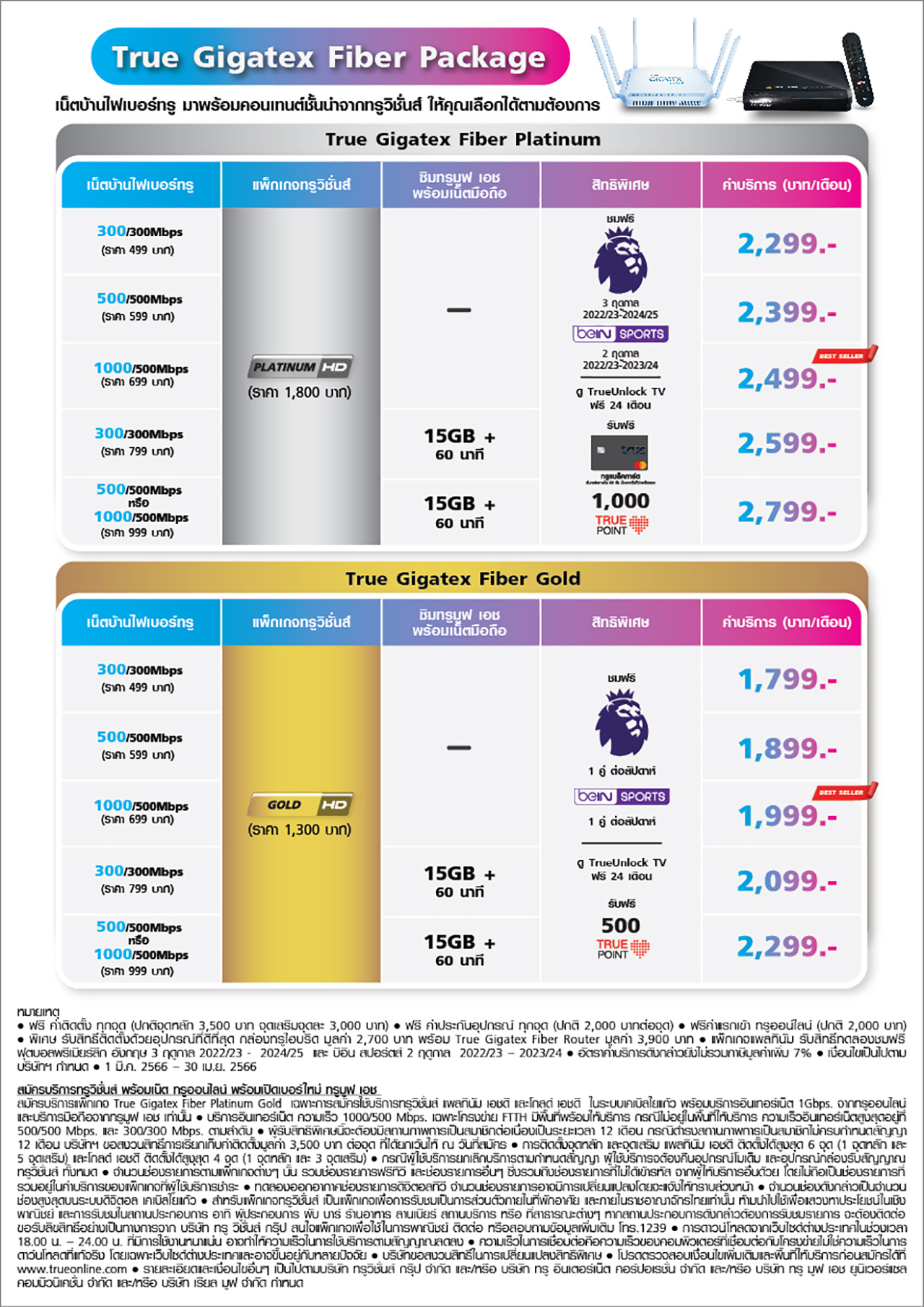 Platinum & Gold Leaflet